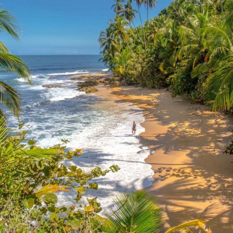 Circuite turistice Costa Rica - Ecuador - Columbia - Panama & Galapagos ...