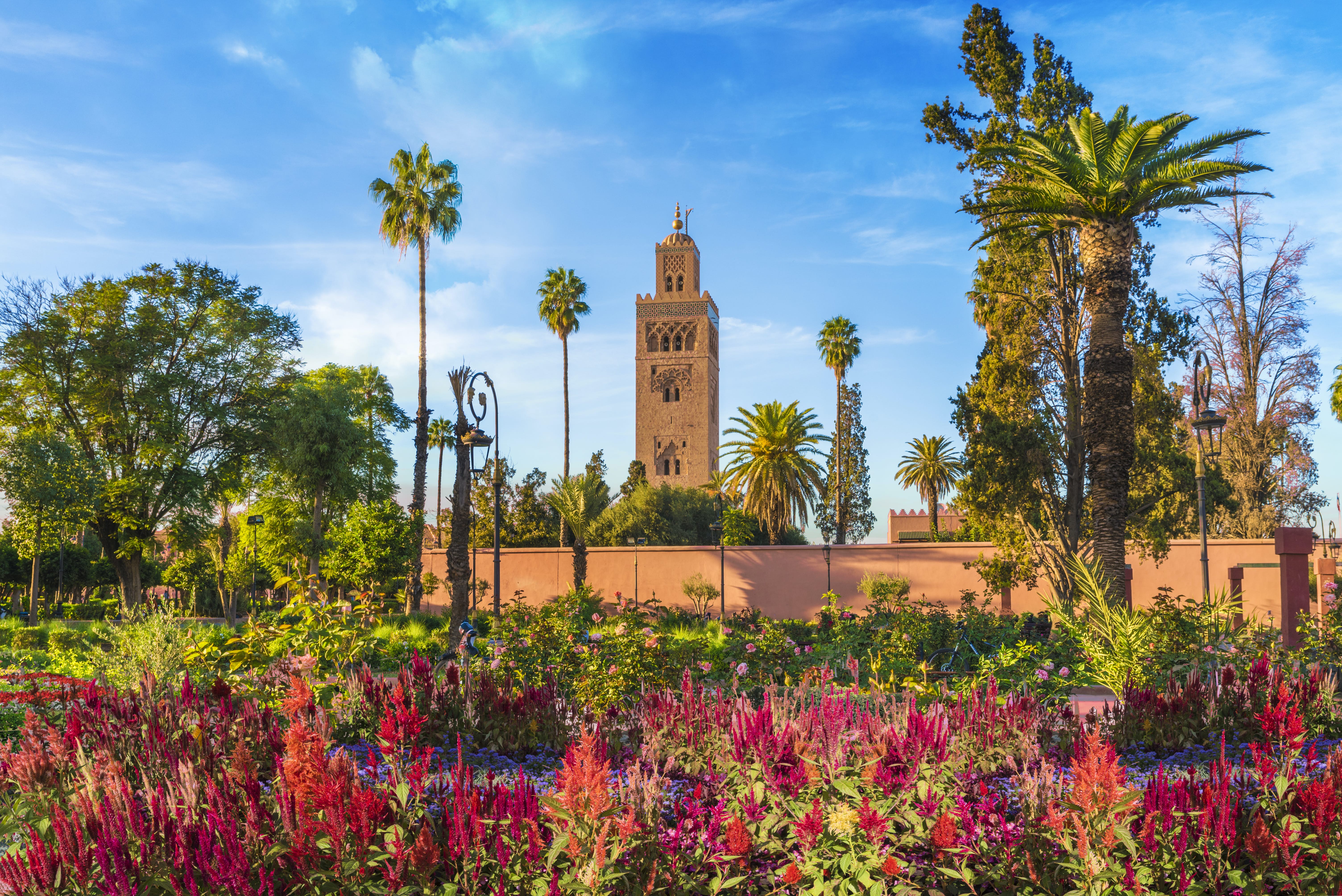 Descoperă Magia Marrakechului: O Aventură În Inima Marocului